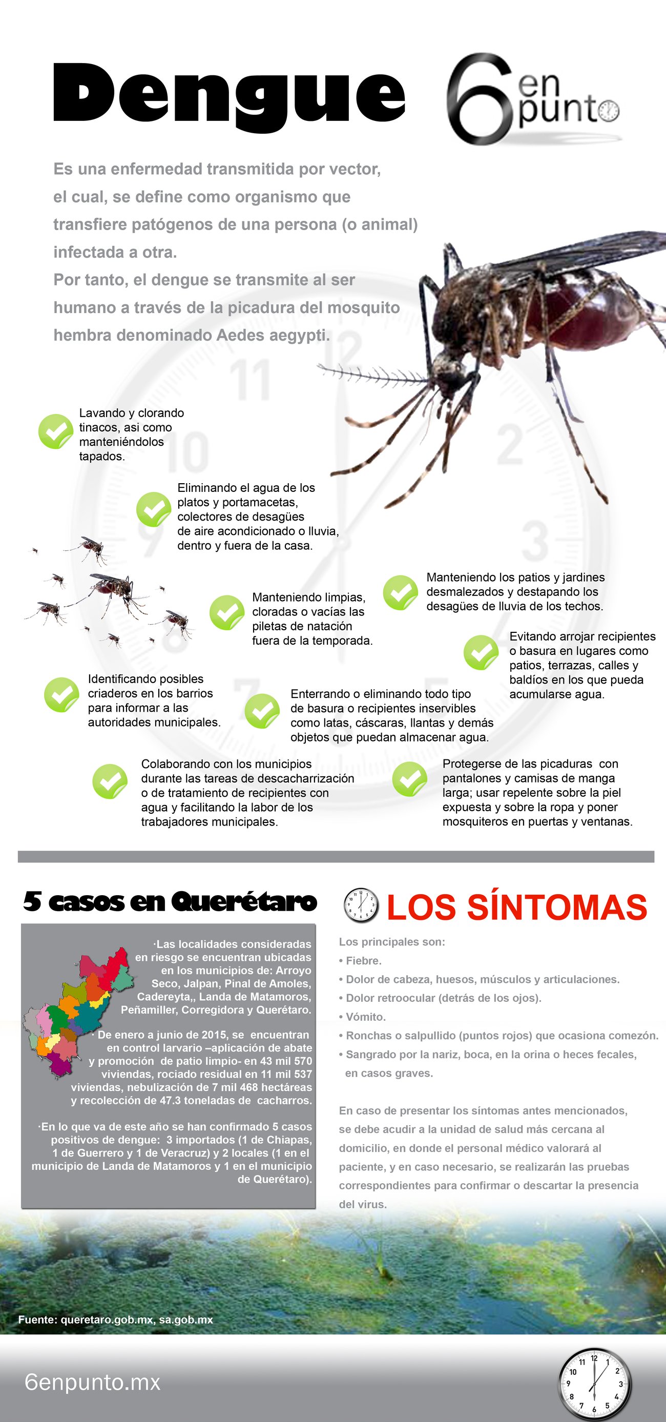 Dengue, ¿cómo prevenir su propagación? - 6 en punto